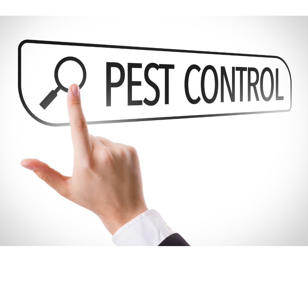 PEST CONTROL – Tagged "TRAPPER – STICKY TRAPS FOR INFESTATIONS ...